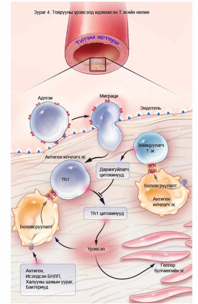 Эмгэг жам | Medwebmon