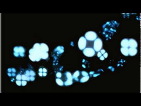 Шээсний дэлгэрэнгүй шинжилгээ /II хэсэг/ | Medwebmon